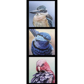 Australian Bird Fabric Panels | By Chris Riley – Koala Fabrics