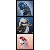 Australian Bird Fabric Panels | By Chris Riley – Koala Fabrics